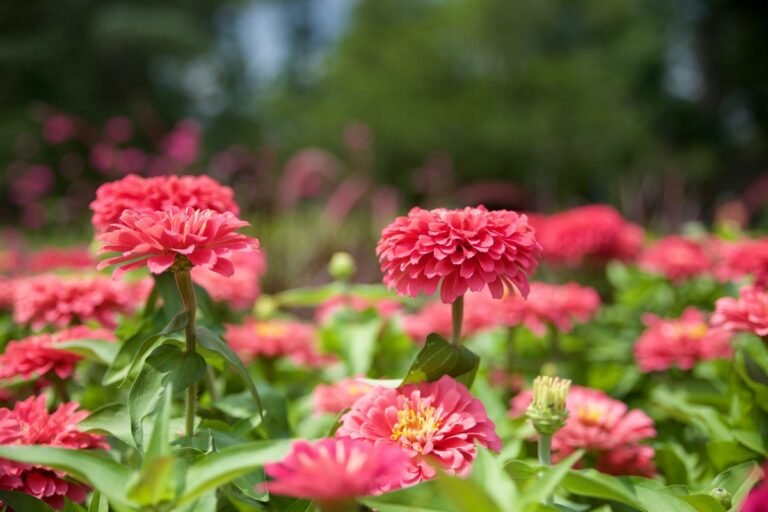 14 Beautiful Types Of Pink Flowers You May Not Have Seen - Mich Wildflowers