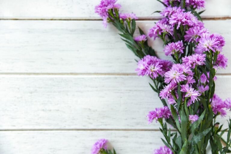 How To Grow Statice From Seed To Bloom: The Ultimate Guide - Mich ...