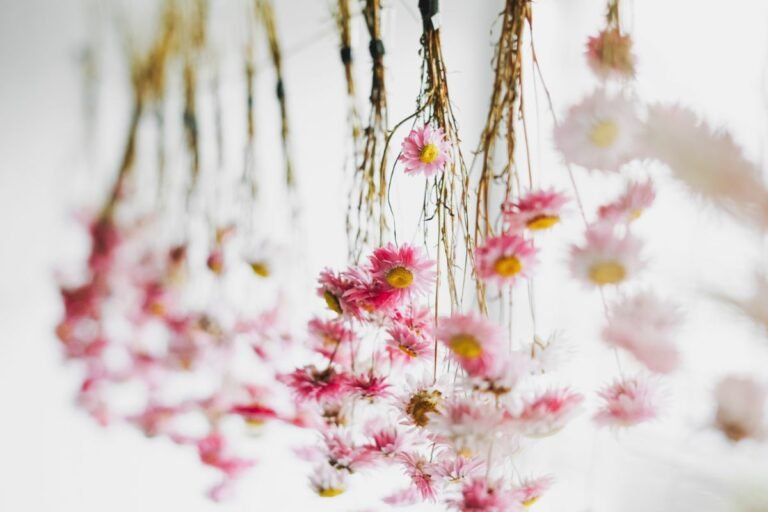 A Complete Guide On How To Dry Flowers With Silica Gel - Mich Wildflowers